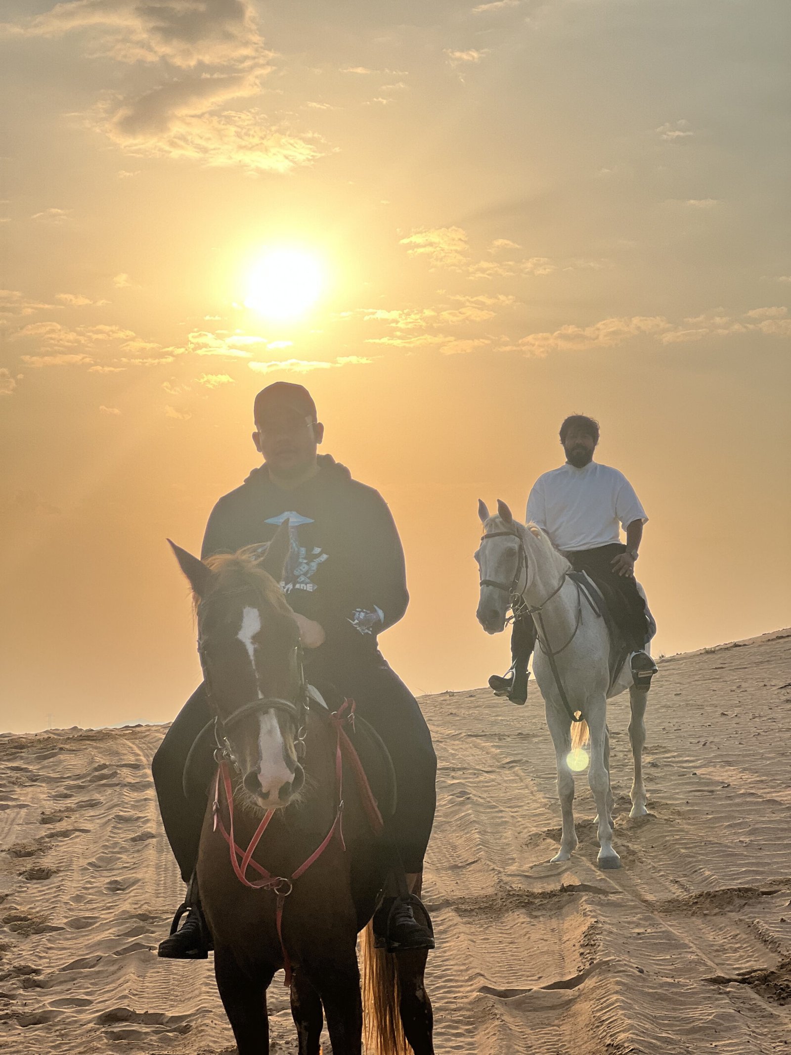 Horse Riding Classes in Ajman UAE - Horse Riding Stables